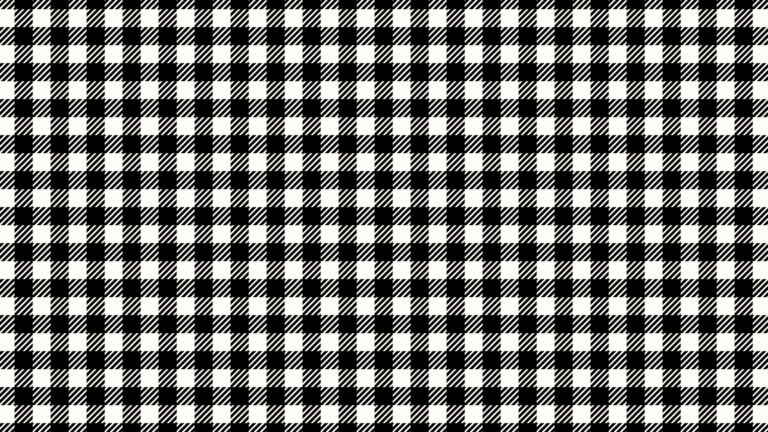白地に黒のギンガムチェックのパターン | PIRIRITO